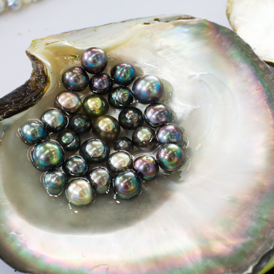 O tahitských perlách, pravé perly cena, mořské perly